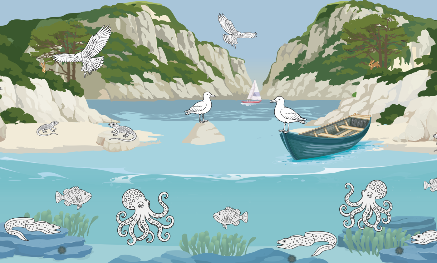 Interactive Drawings — Bring Children's Art to Life | Wild Immersion